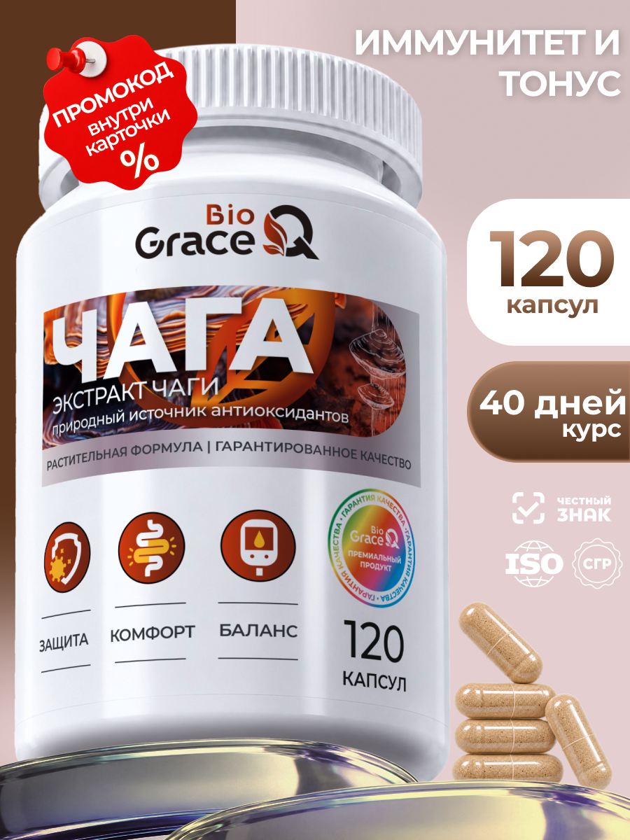 Чага экстракт GraceBioQ / Чага в капсулах для кишечника и детокса / Витамины для ЖКТ, 120 капсул