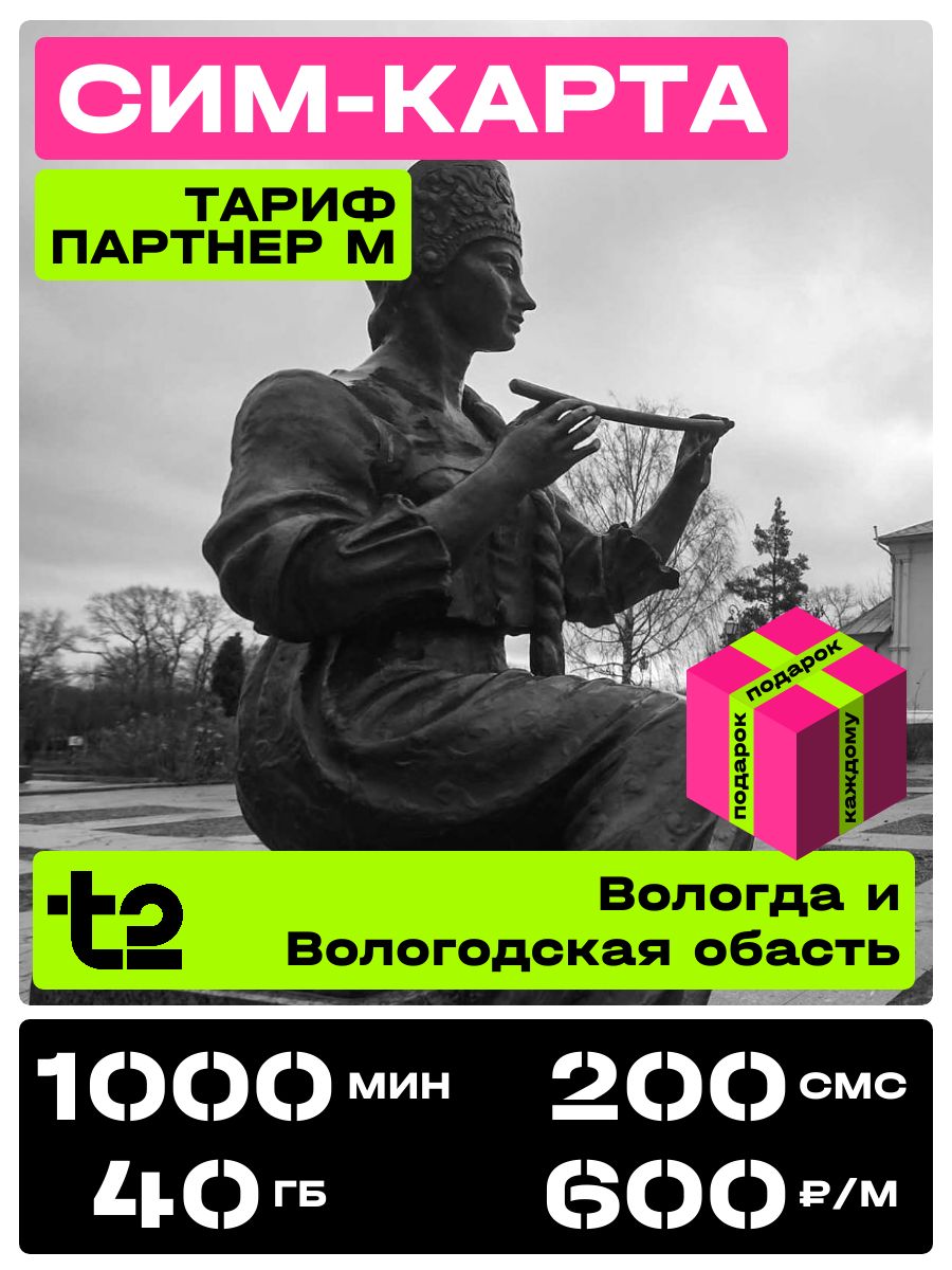 Сим карта t2, тариф Партнер М, 600 руб./мес. Вологодская область