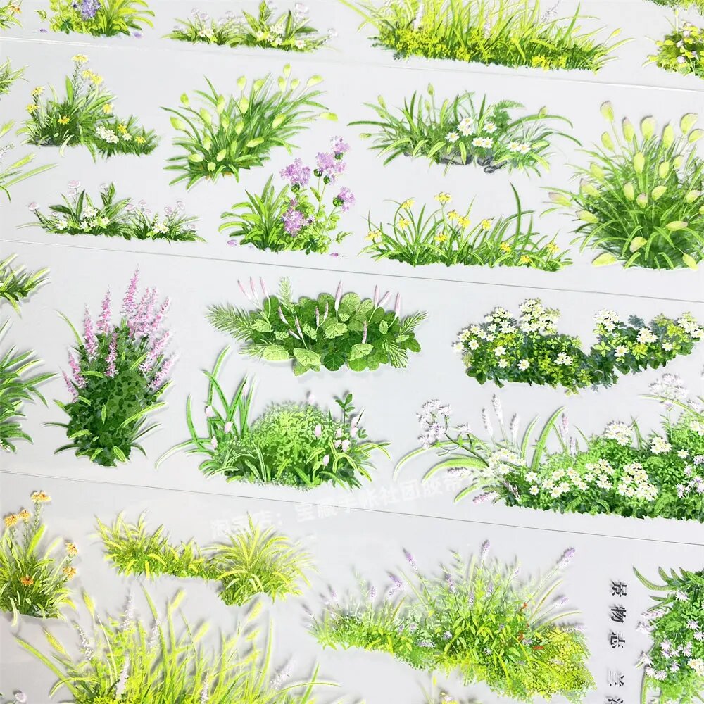 Лента Washi Pet Tape Lanze Herb 9999 PET 5cmx100cm