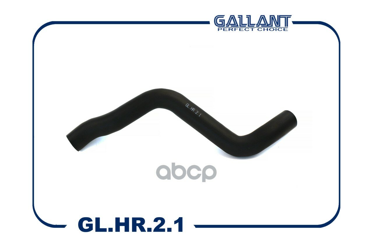 Патрубок радиатора нижний Gallant арт. GL. HR.2.1