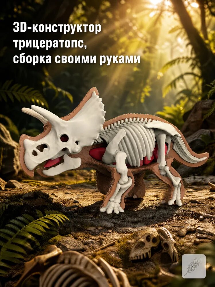 DIY конструктор Трицератопс анатомия скелет, развивающая детская игрушка для изучения динозавров