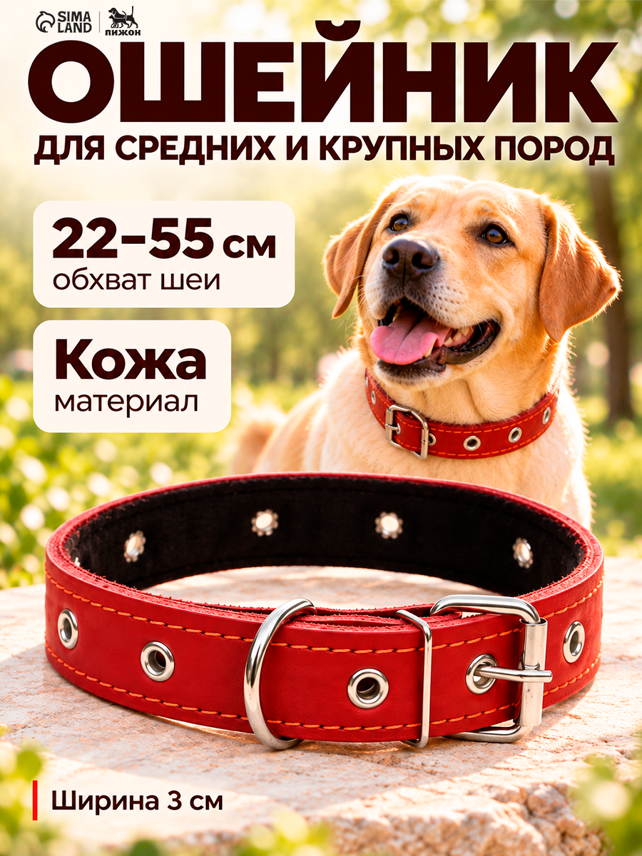 Ошейник кожаный на синтепоне, безразмерный, 65 х 3 см, ОШ 22-55 см, красный