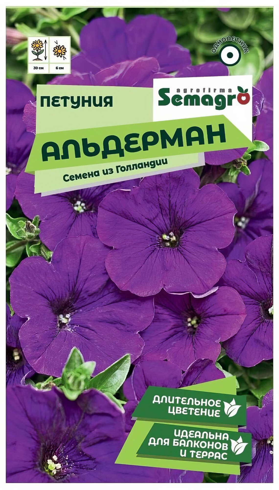 Семена Петуния Альдерман