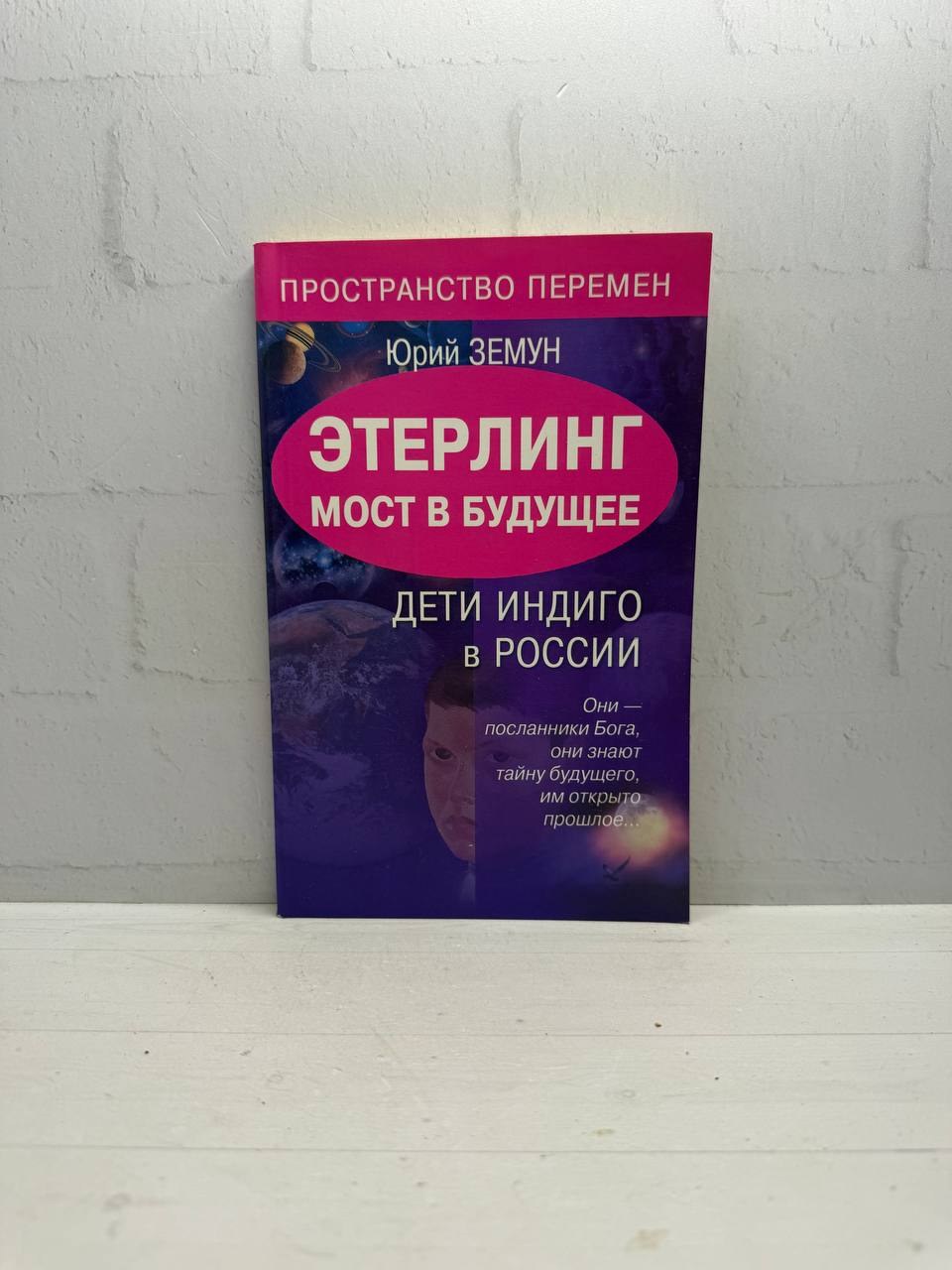 Этерлинг. Мост в будущее. Дети индиго в России. Юрий Земун, 2006