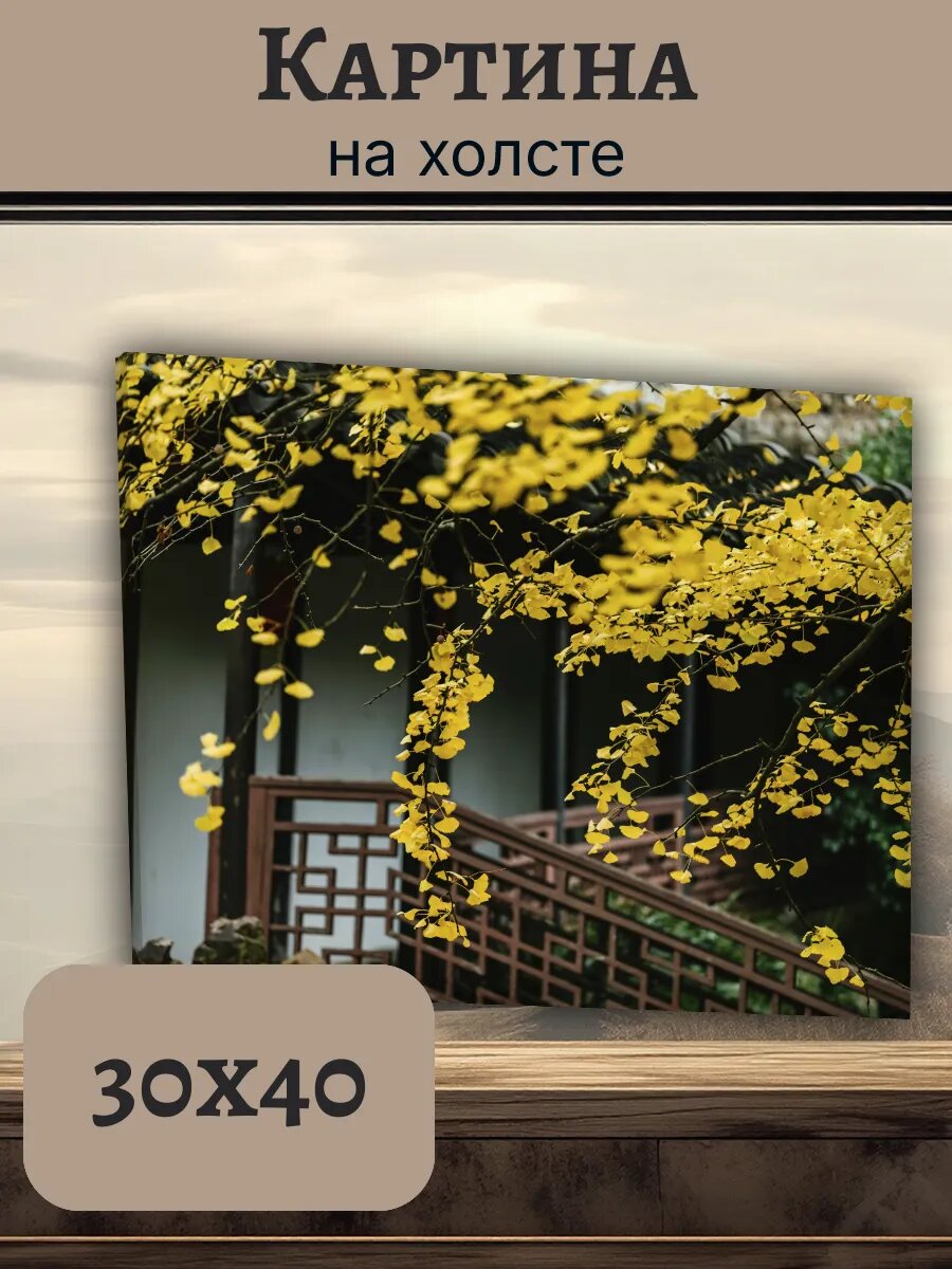 Картина Постер Китай China 30x40 с изображением желтых