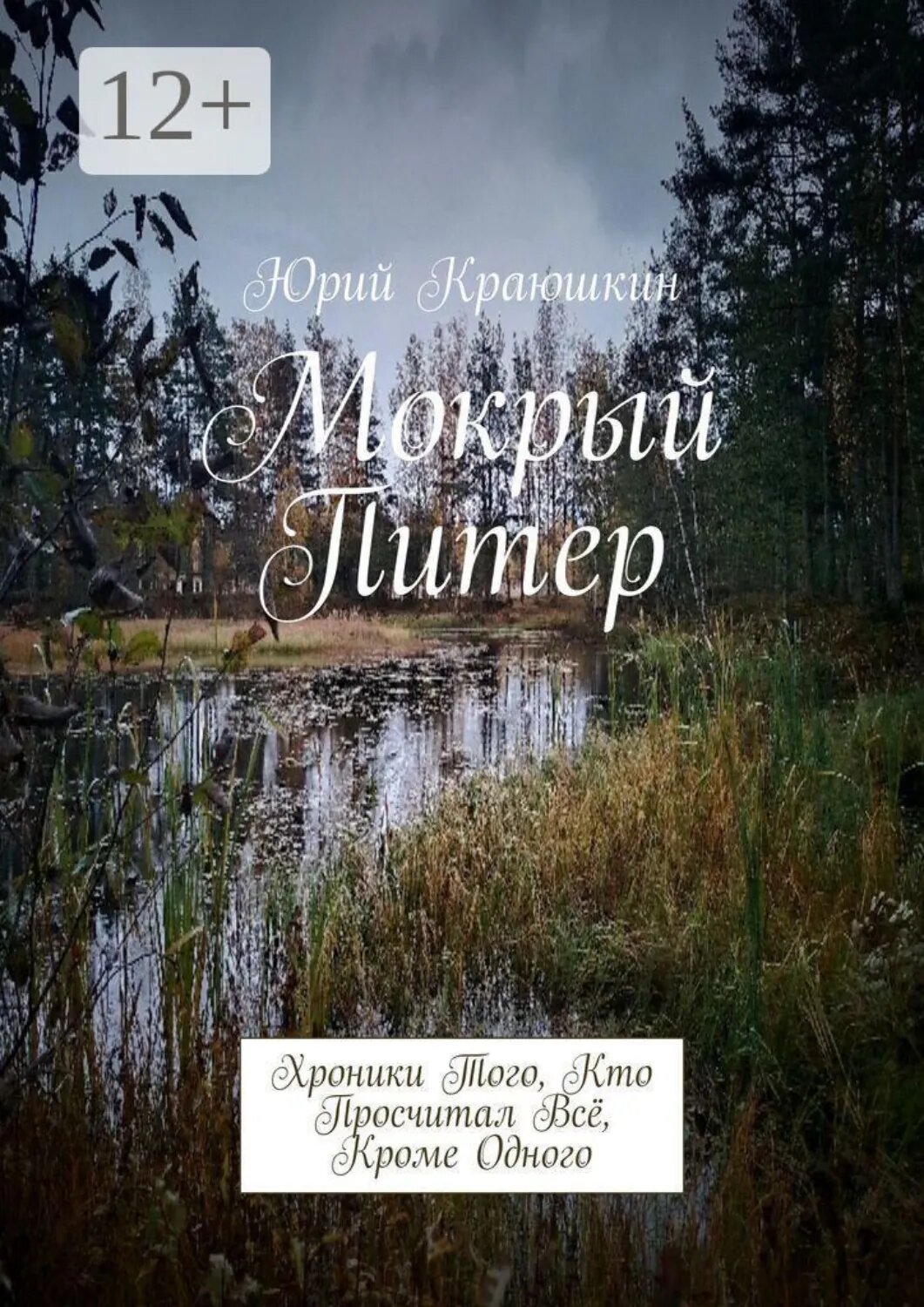 Мокрый Питер. Хроники того, кто просчитал всё, кроме одного [Цифровая книга]