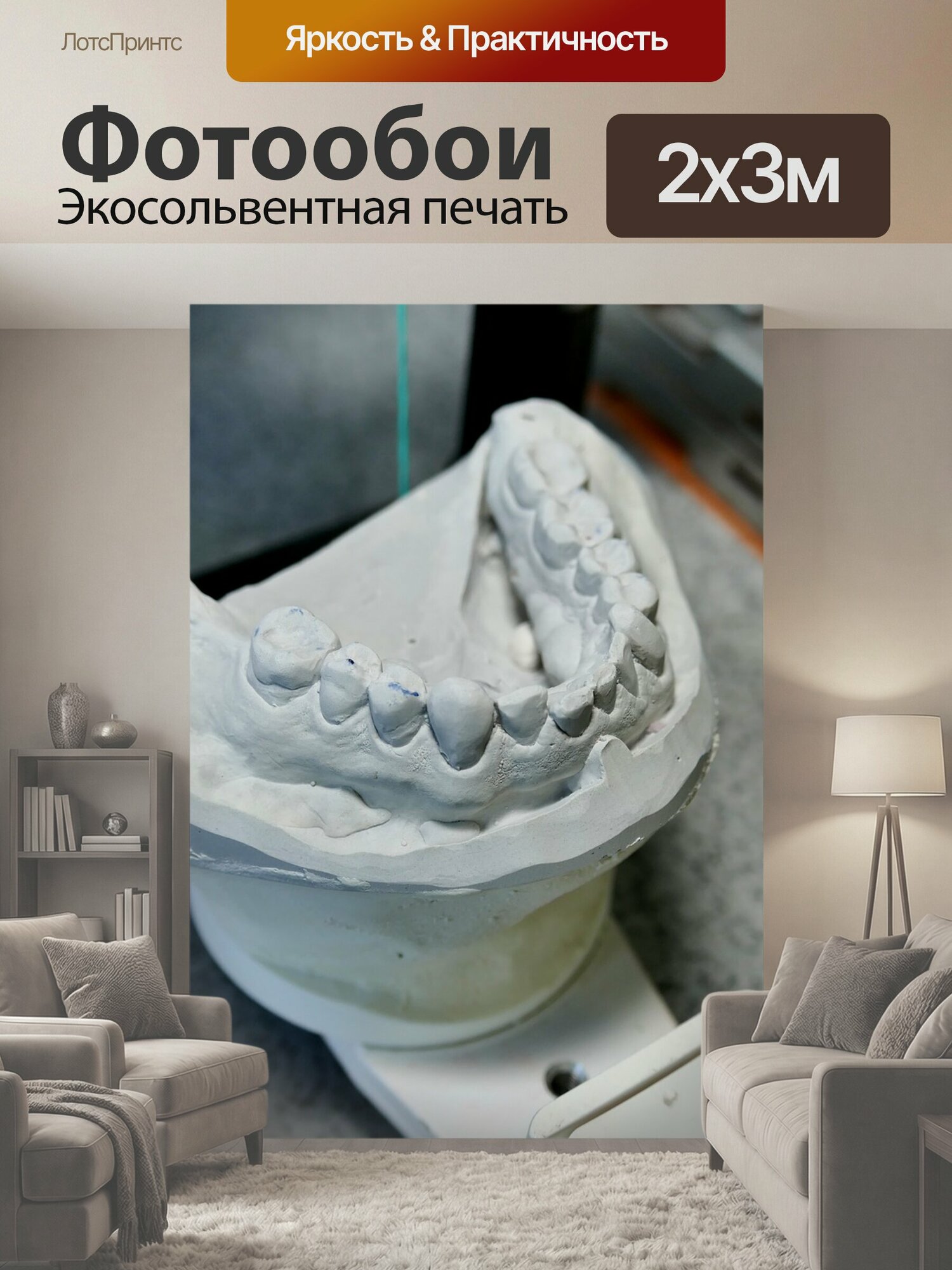Фотообои "Модель зуба, челюсть, зубы" 200x300 см. экосольвентная печать