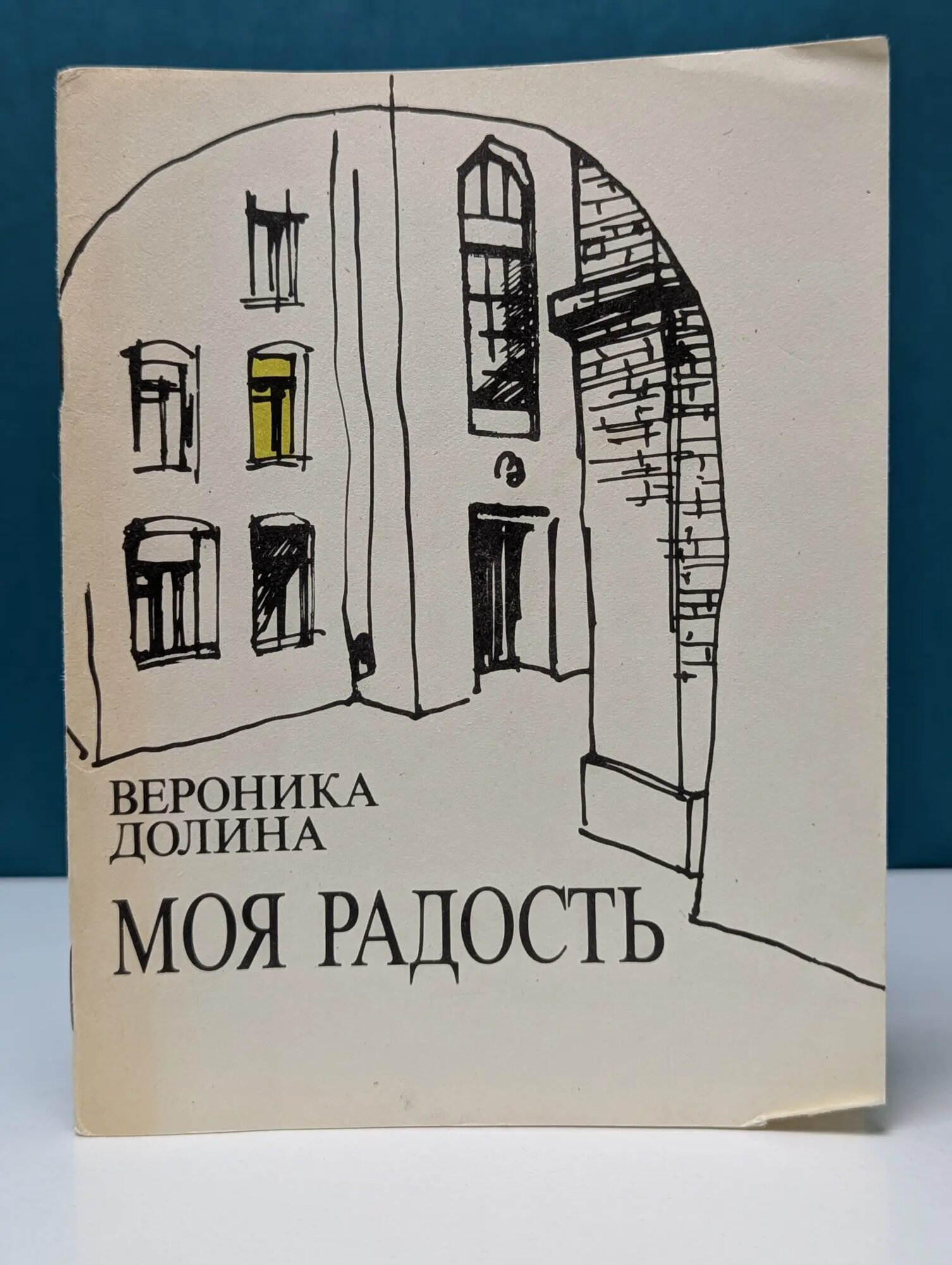 Моя радость. Стихотворения Долина Вероника Анатольевна 1988