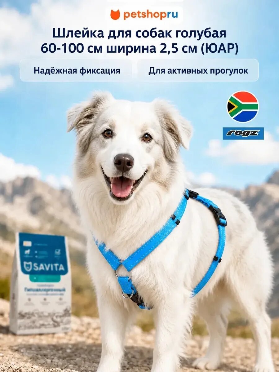 Rogz шлейка "Utility", р-р XL (60-100см), ш: 2,5 см, голубой