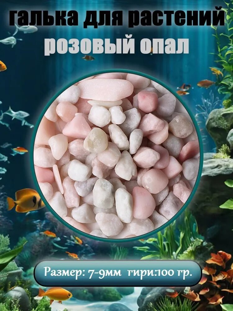 Розовый опал Грунт для аквариума и растений , кактуса и суккулентов , Каспийская галька 7-9 мм, 100 гр.