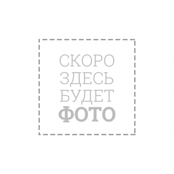 Натяжитель цепи для бензопил BR-S250 в сборе