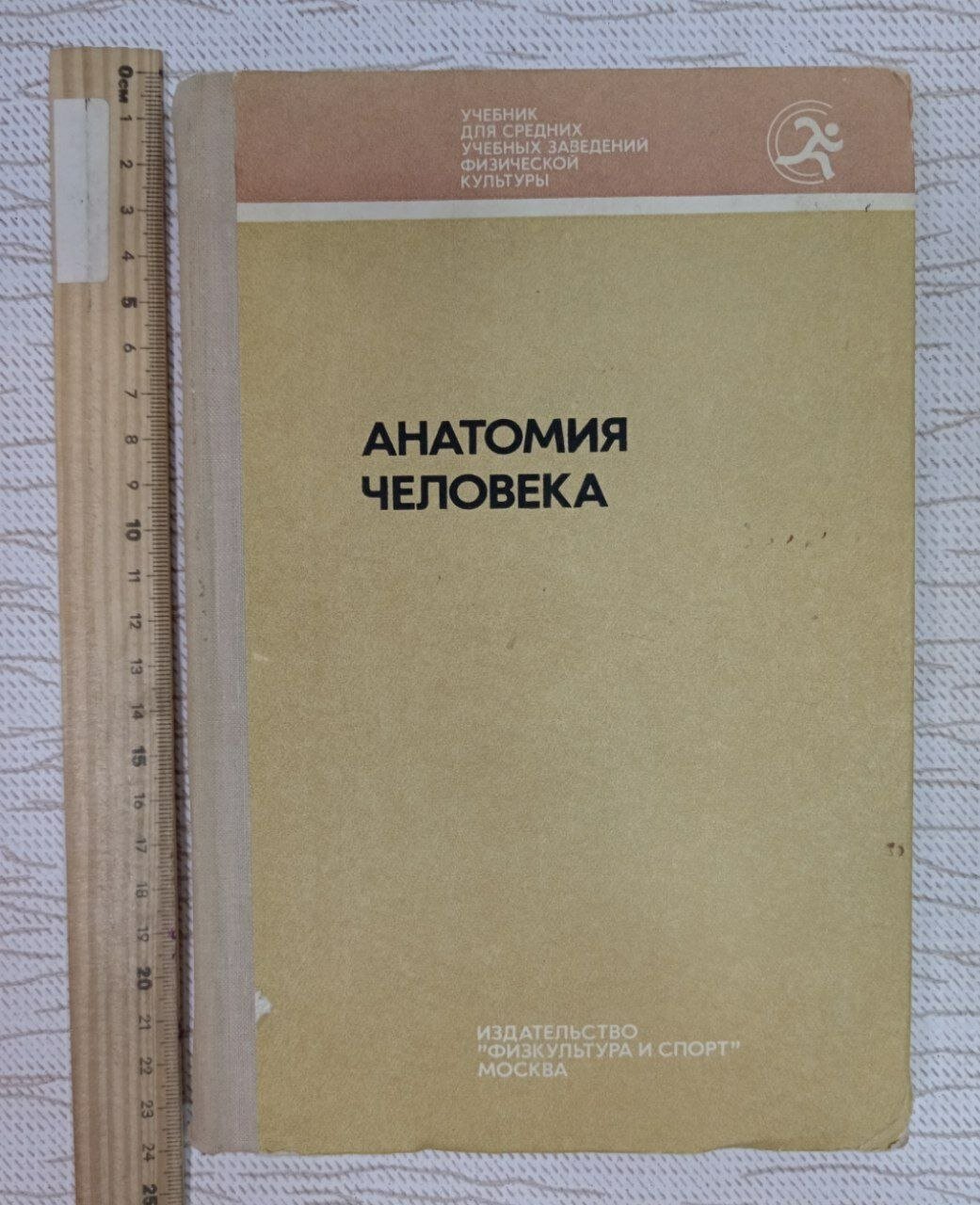 Анатомия человека