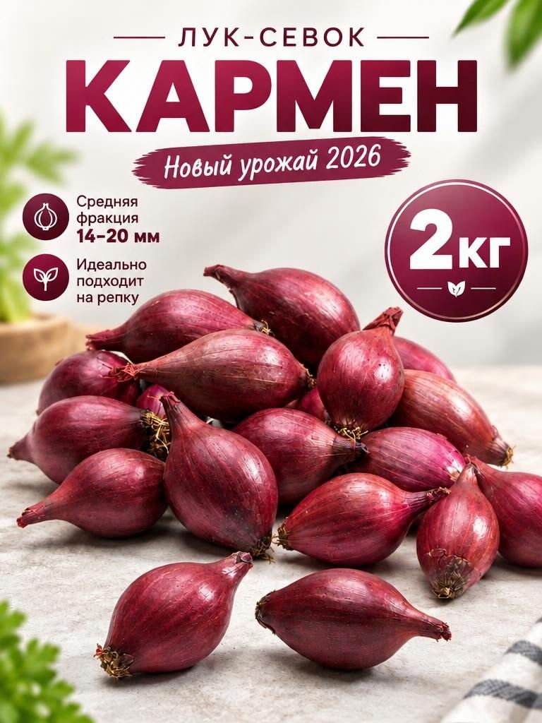Лук севок Кармен 2кг