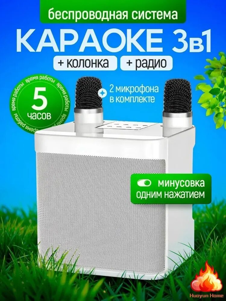 Домашняя портативная караоке-система с 2 микрофонами