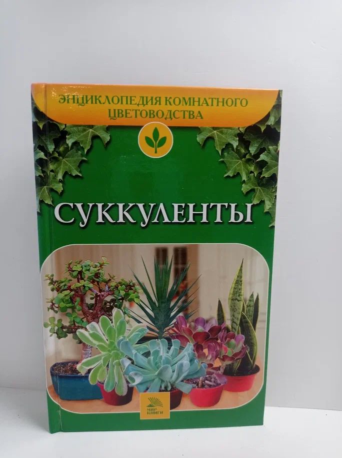 Суккуленты