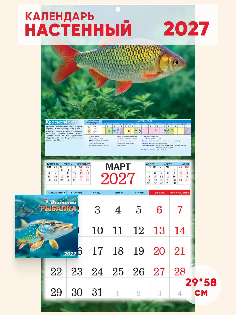 Большой настенный календарь на 2027 год, 29*58см