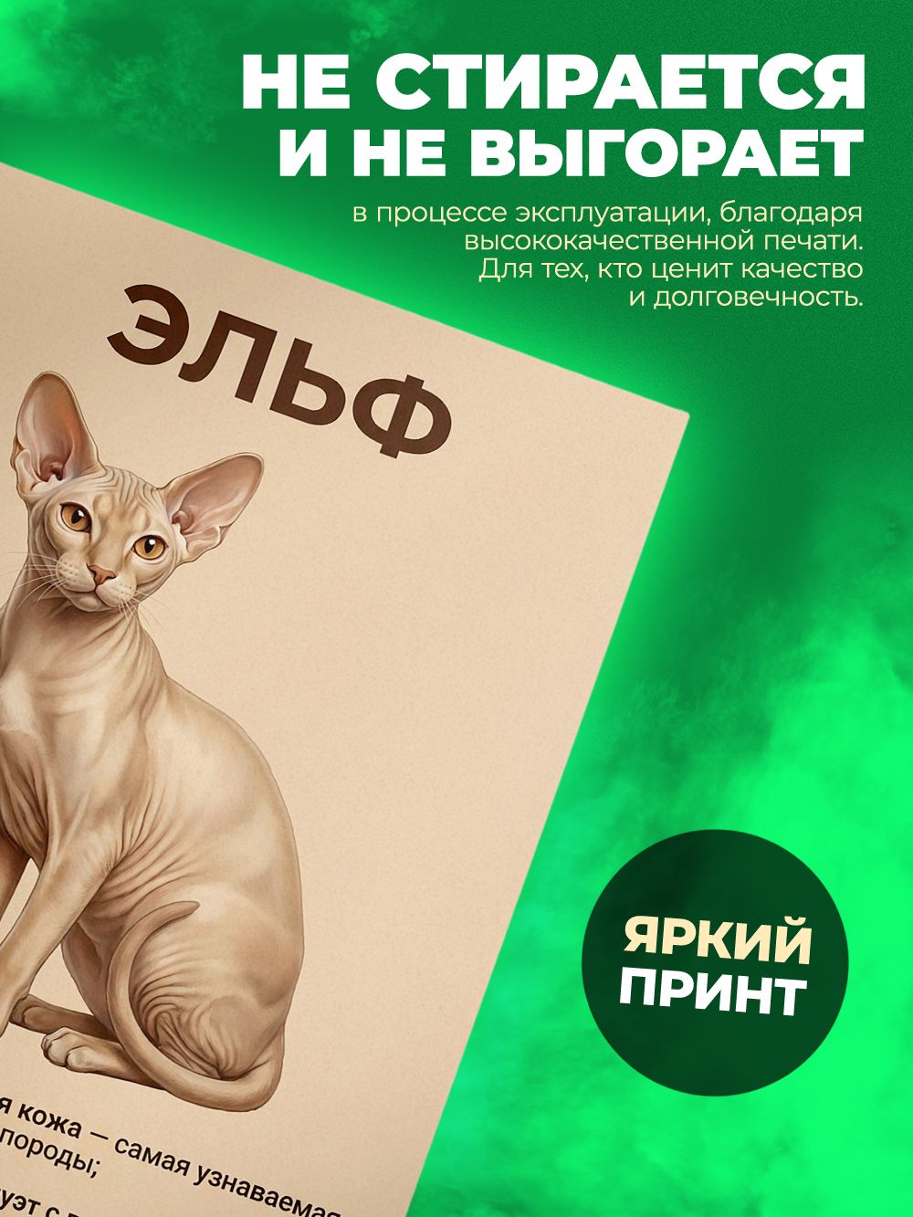 Тетрадь - А5 - Кошка - Эльф — фото 1