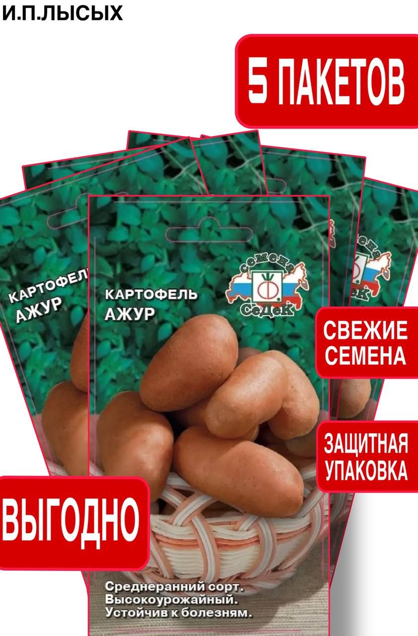 Семена Картофель Ажур 5 шт