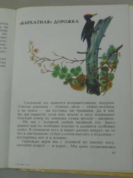 Тропинка в лесу. — фото 1