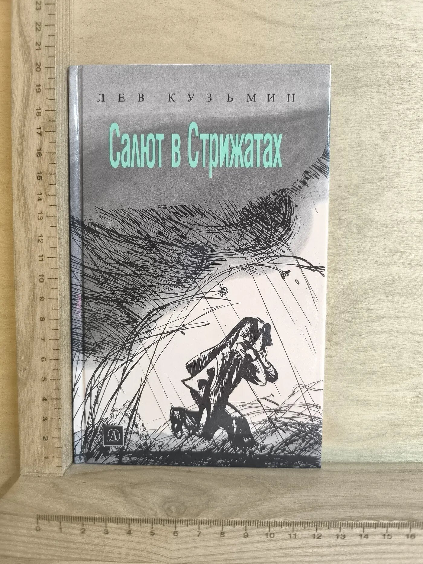 Салют в Стрижатаx