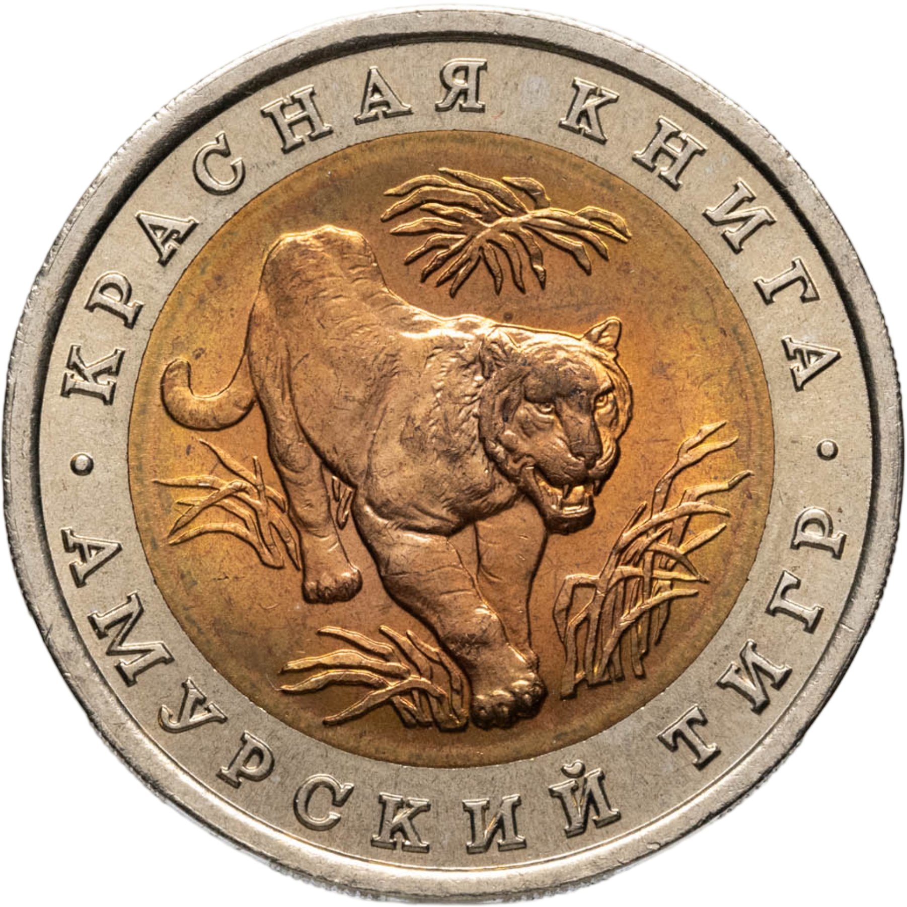10 рублей 1992 ЛМД амурский тигр, Биметалл, в сохранности UNC