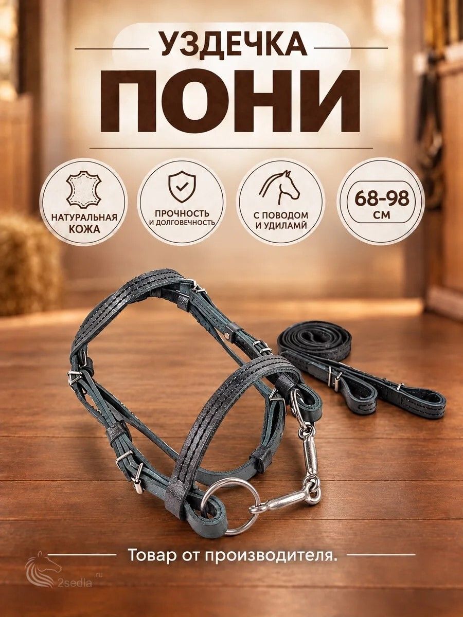 Уздечка из натуральной кожи для пони с удилами и поводом, черная