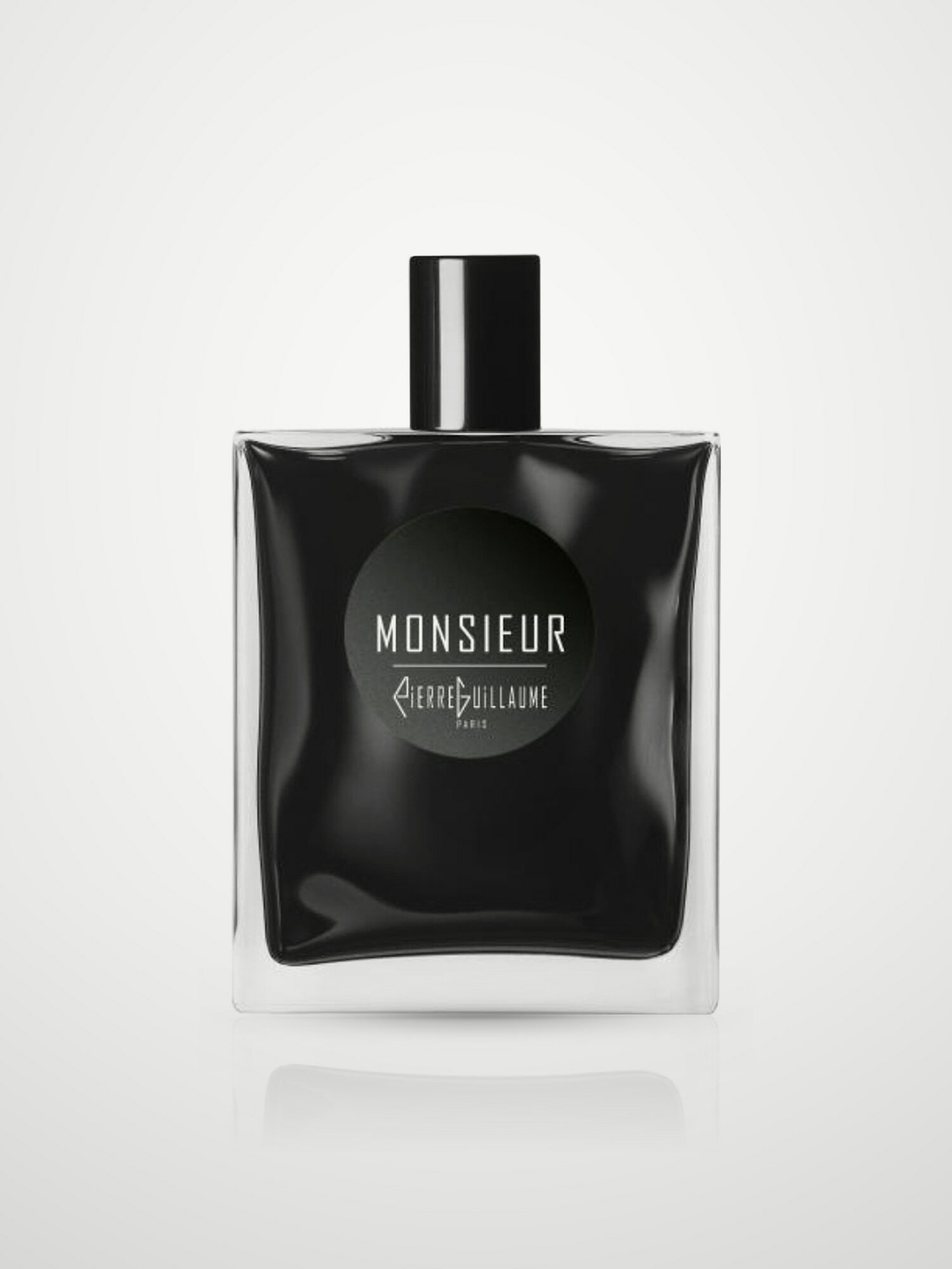 Парфюмерная вода Pierre Guillaume Paris Monsieur Eau de Parfum мужская 100 мл