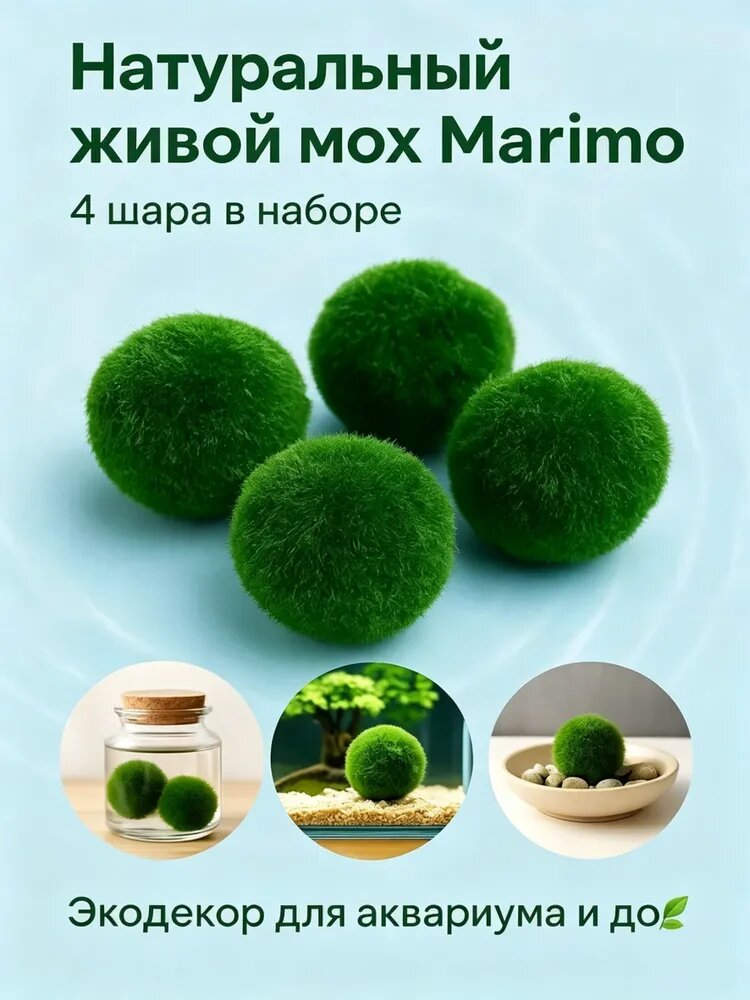 Моховой шар Marimo, 4 штуки, диаметр 1CM-2CM