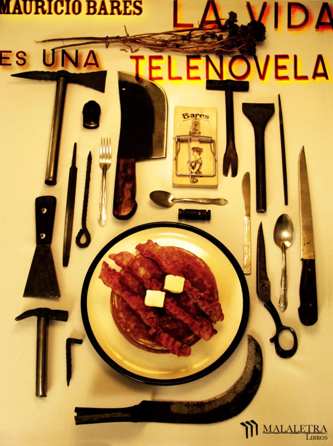 La vida es una telenovela [Цифровая книга]