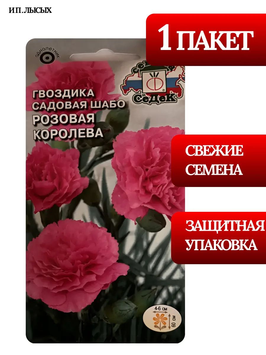 Семена Гвоздика "Розовая Королева"