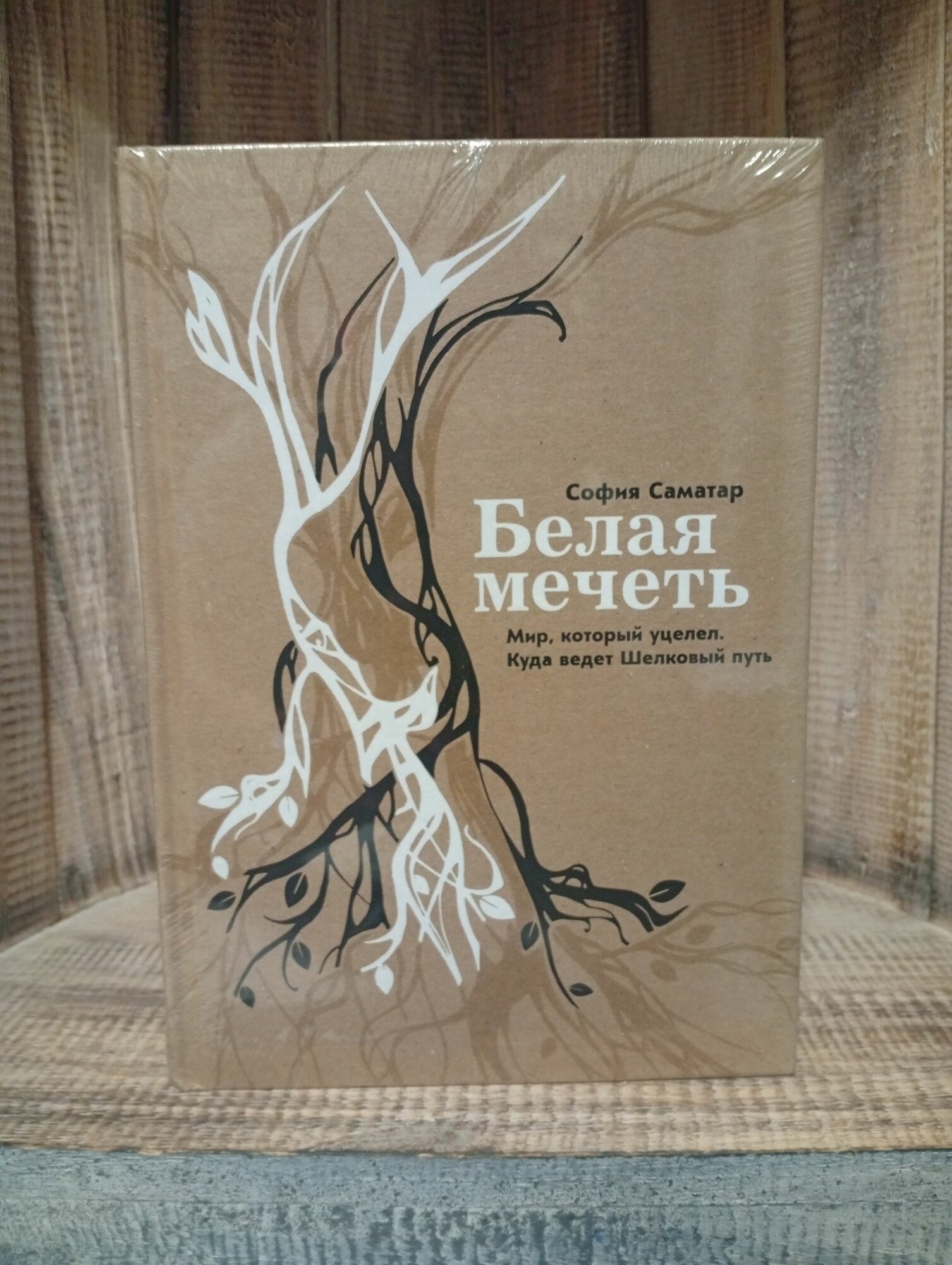 Белая мечеть. Мир, который уцелел. Куда ведет Шелковый путь Саматар София