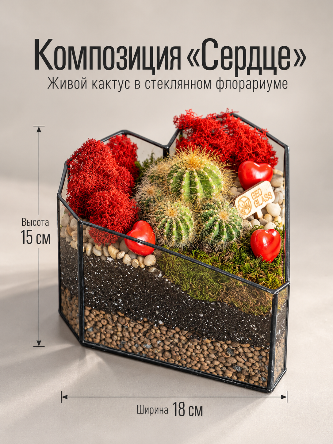 Кактус живой в стеклянном флорариуме «Сердце» с открыткой и декором Geo Glass