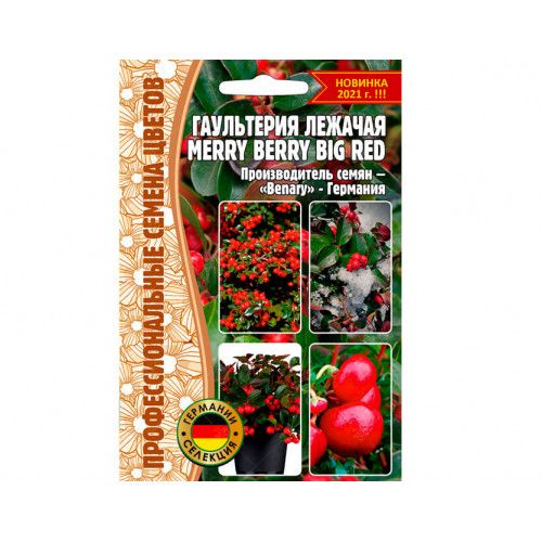 Гаультерия Merry Berry Big Red лежачая 3шт. Профессионнальные семена цветов
