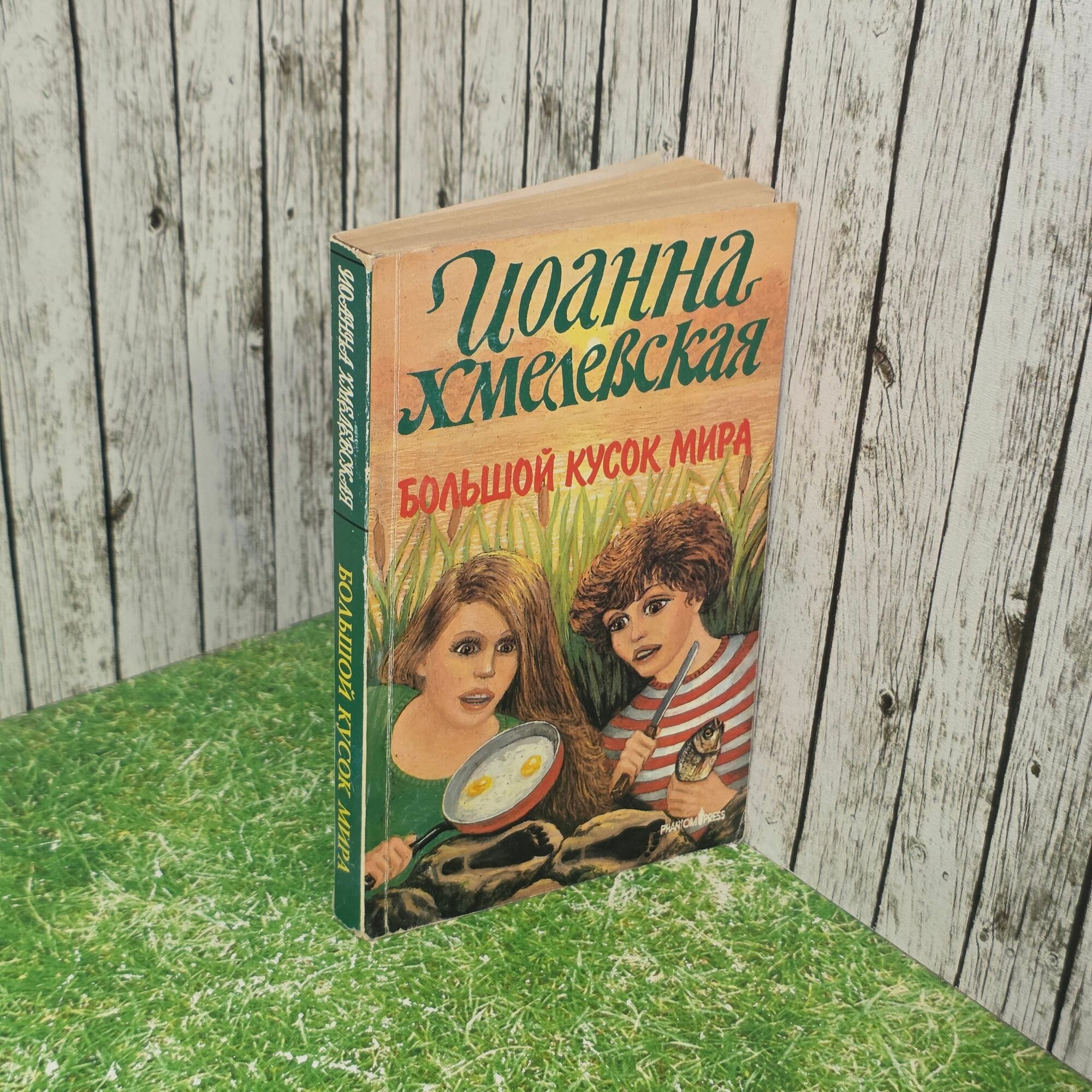 Книга " Большой кусок мира."