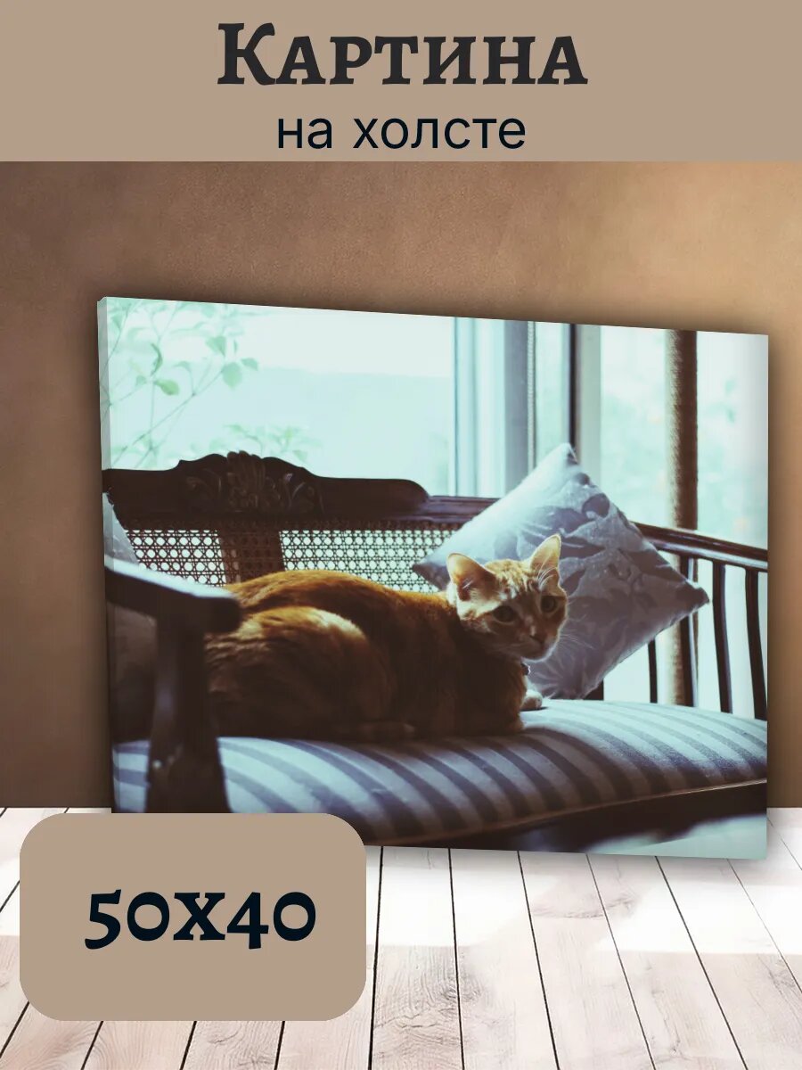 Картина Кот Кошка Cat 40x50 рыжий полосатый кот на диване