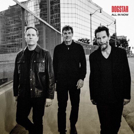 DOGSTAR All In Now (Компакт-диск)
