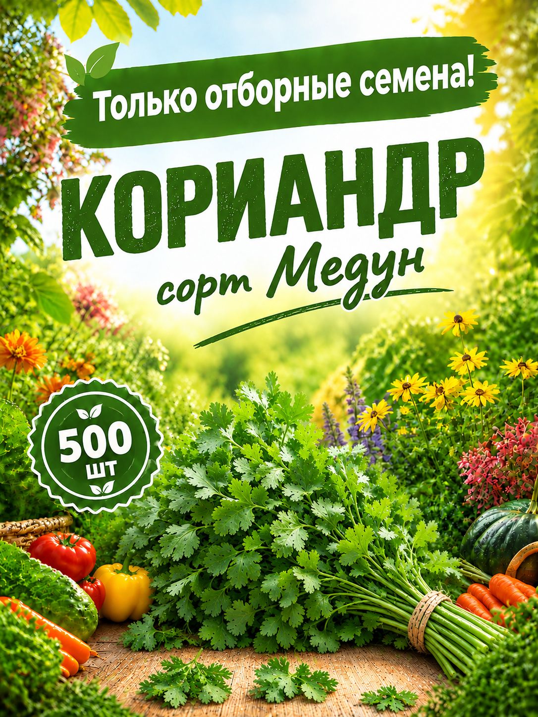 Семена кориандра сорт Медун, стабильная всхожесть, для огорода, балкона и подоконника - нежная кинза и ароматные специи весь сезон