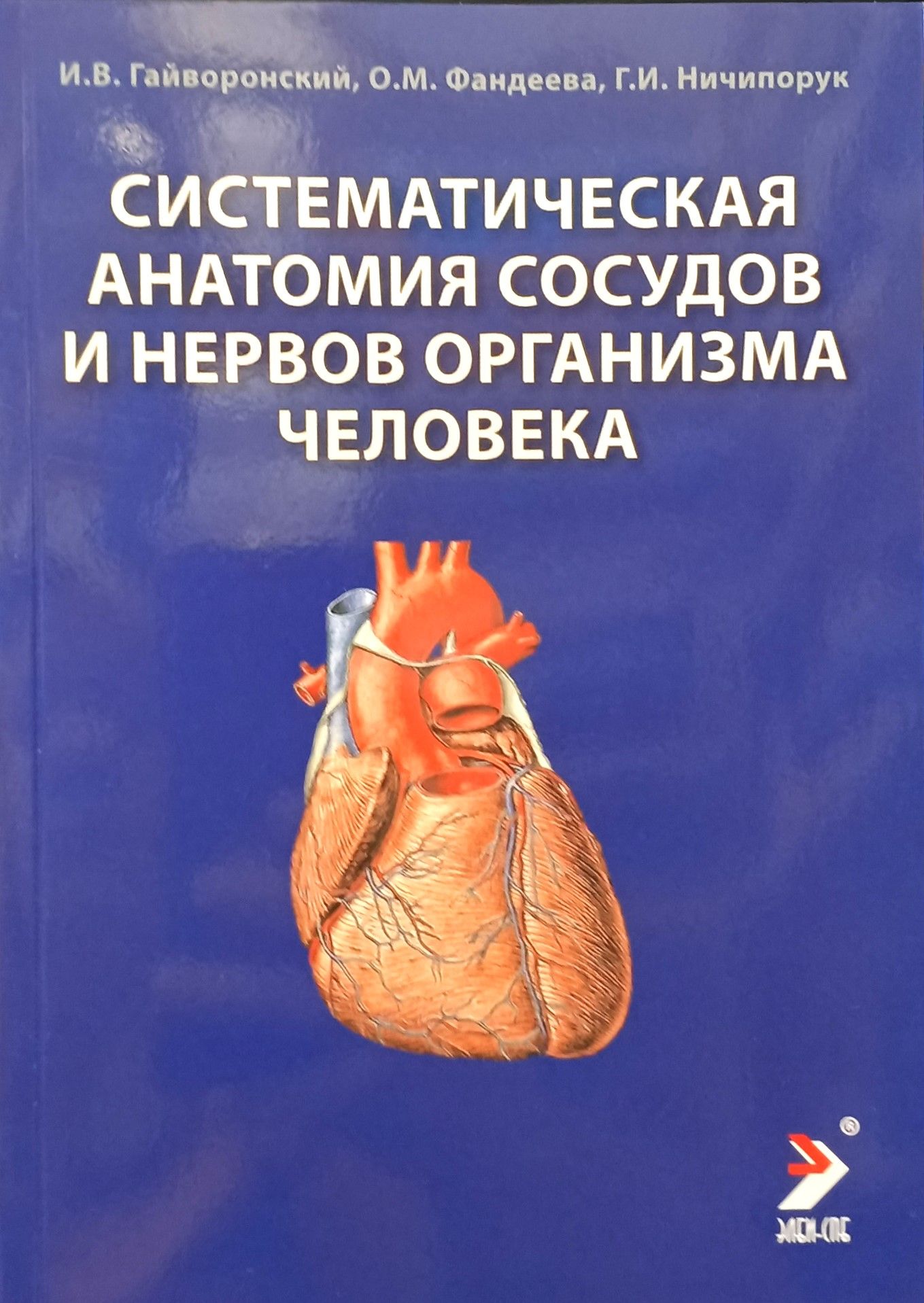 Систематическая анатомия сосудов и нервов организма человека. Гайворонский