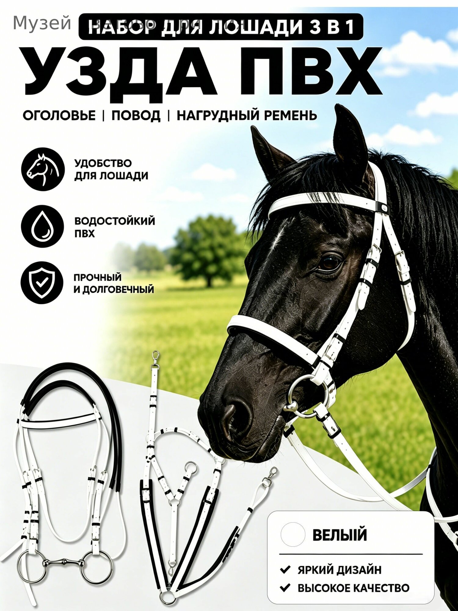 Пояс для уздечки лошади из ПВХ, водонепроницаемый, регулируемый, используется для тренировок и верховой езды, доступно 8 цветов