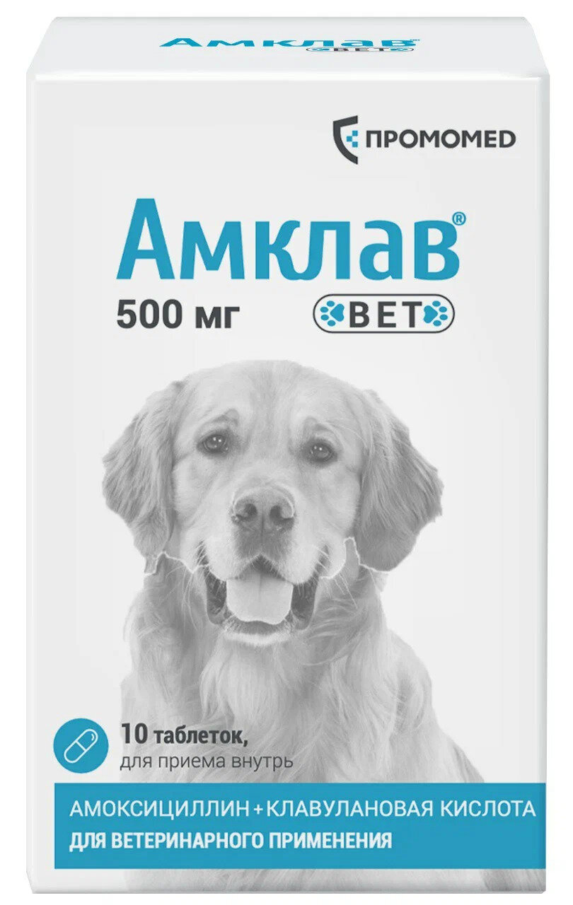АмклавВет антибактериальный таб. д/приема внутрь 500мг №10 для собак