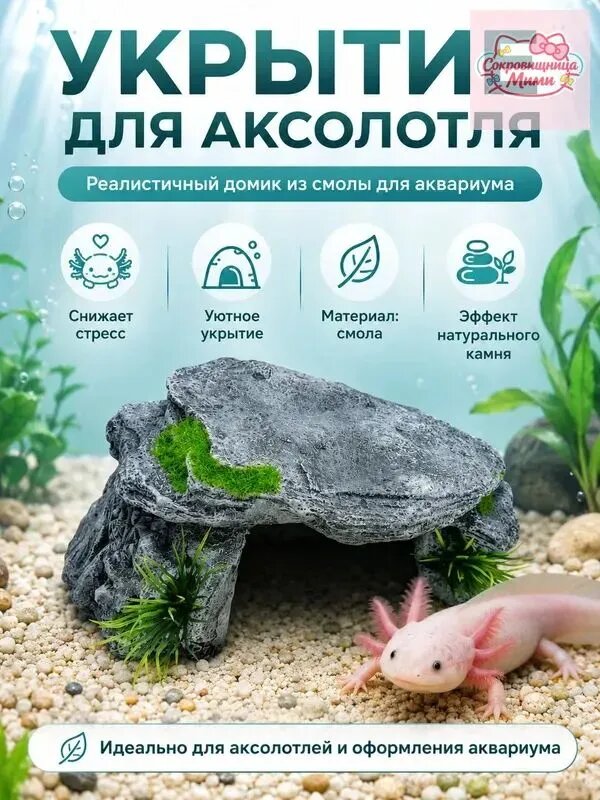 Аквариум для аксолотля.