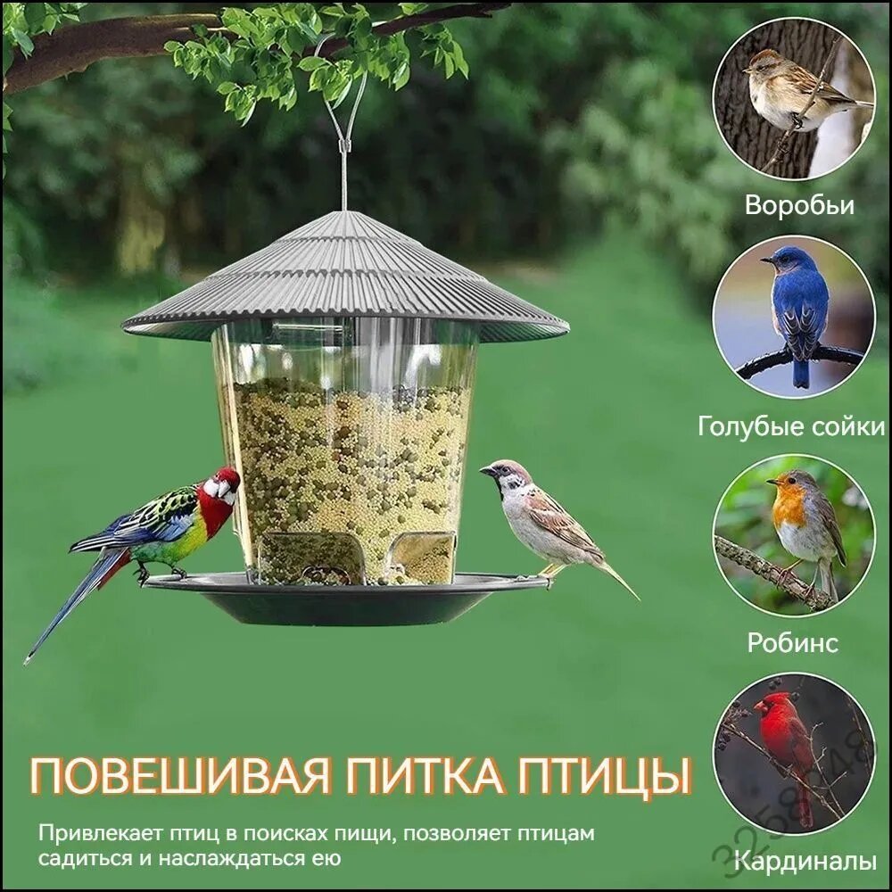 Кормушка для птиц и грызунов