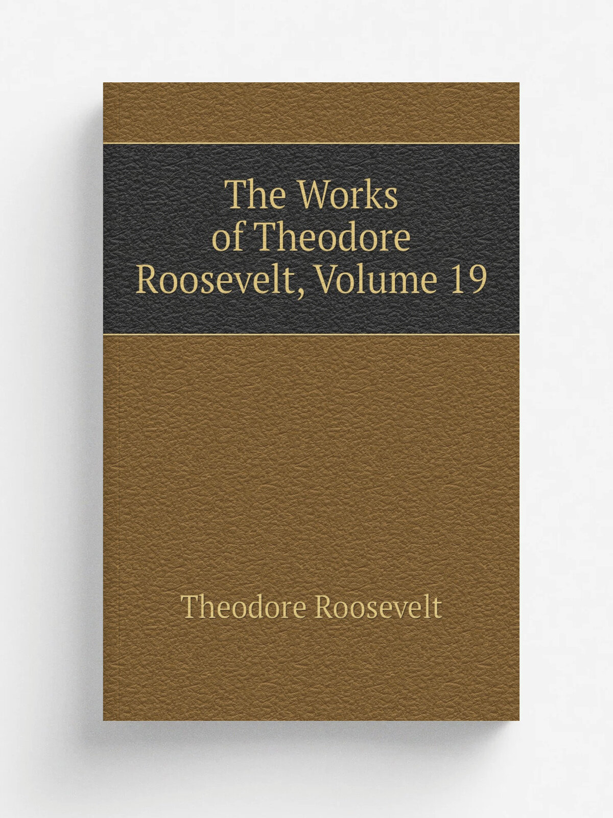 The Works of Theodore Roosevelt, Volume 19