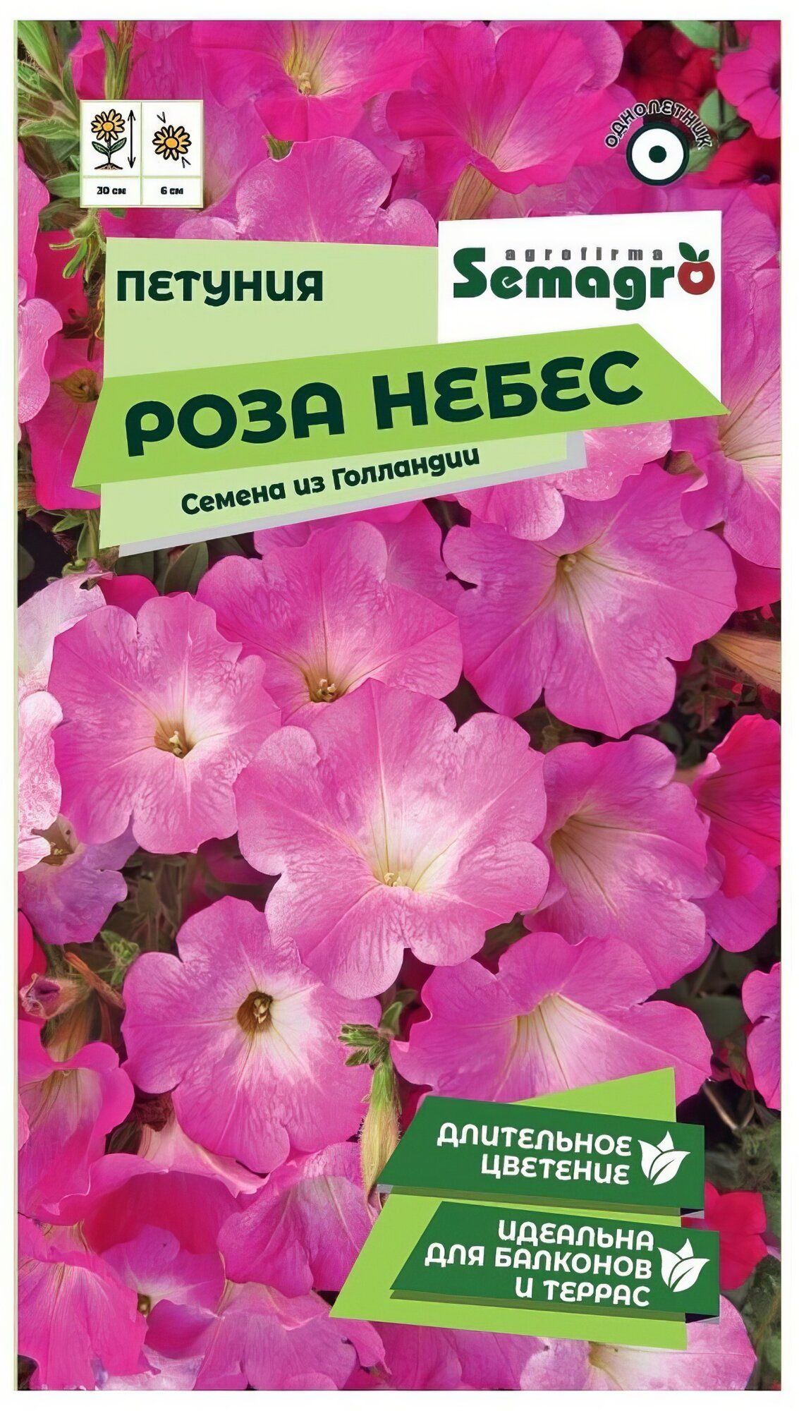 Семена Петуния Роза небес