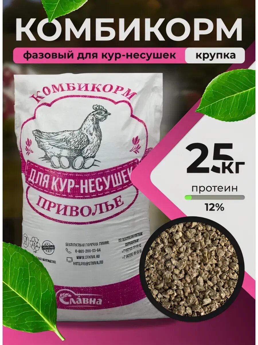 Комбикорм для курочки несушки фазовый