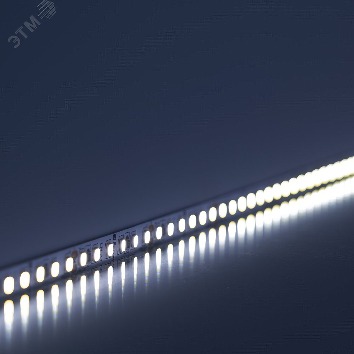 Лента светодиодная 11Вт/м 24В 6000К IP20 120LED/м LS501