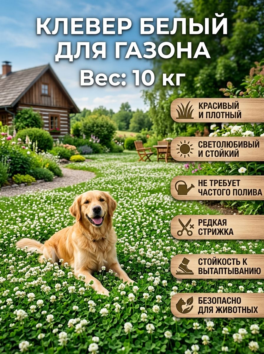 Клевер Белый для газона 10 кг