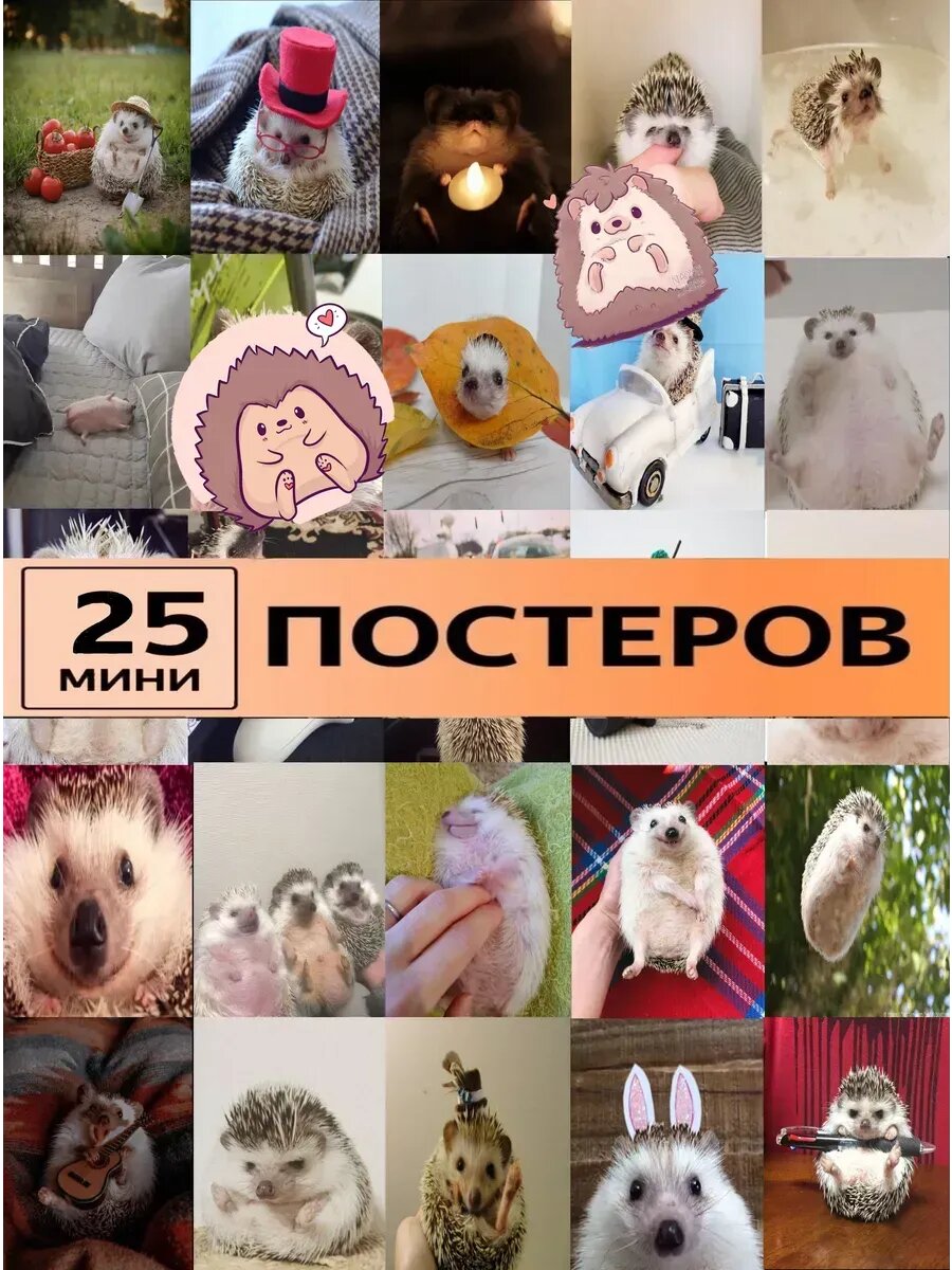 Ежик постеры