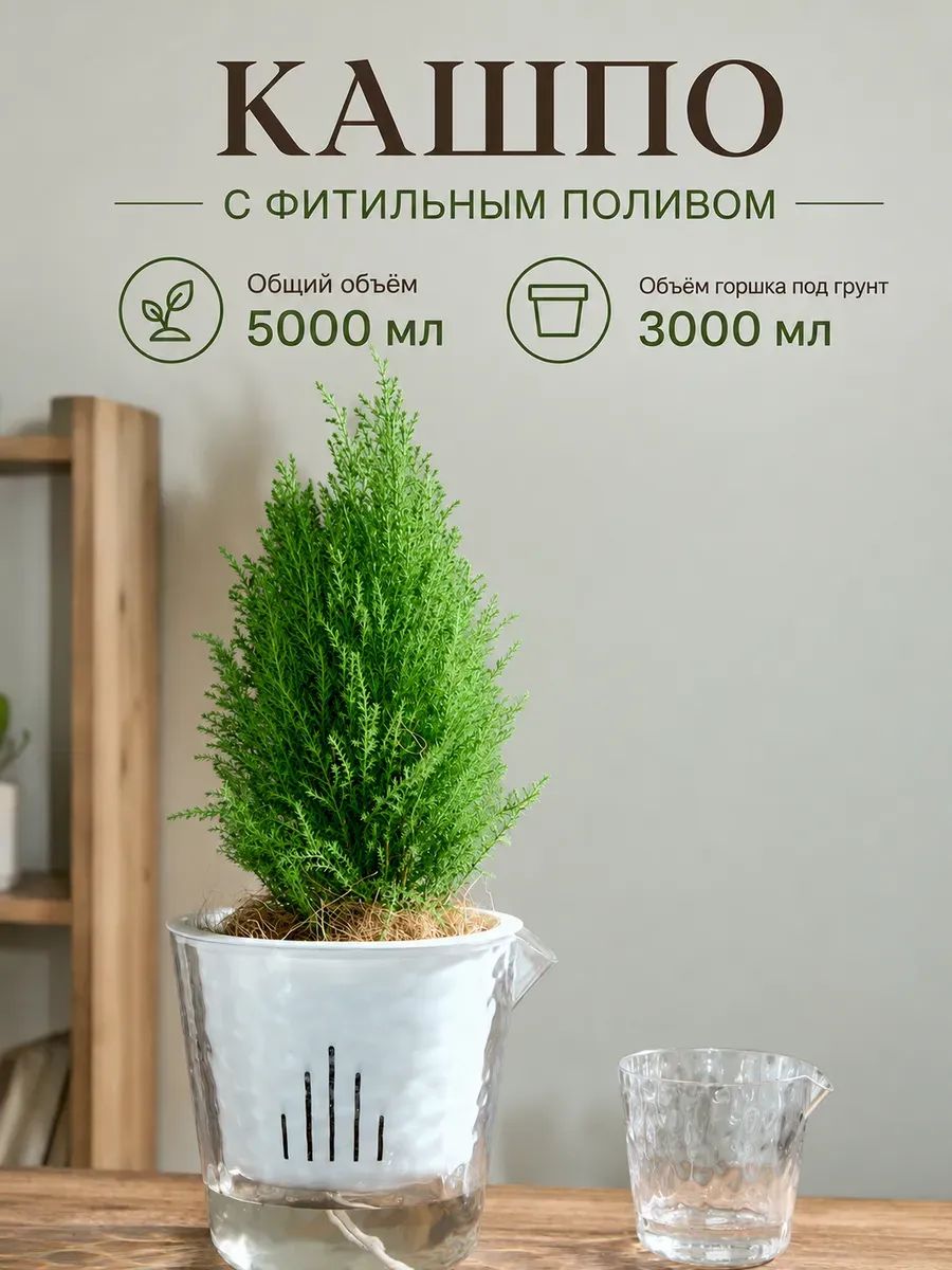 Горшок с фитильным поливом прозрачный