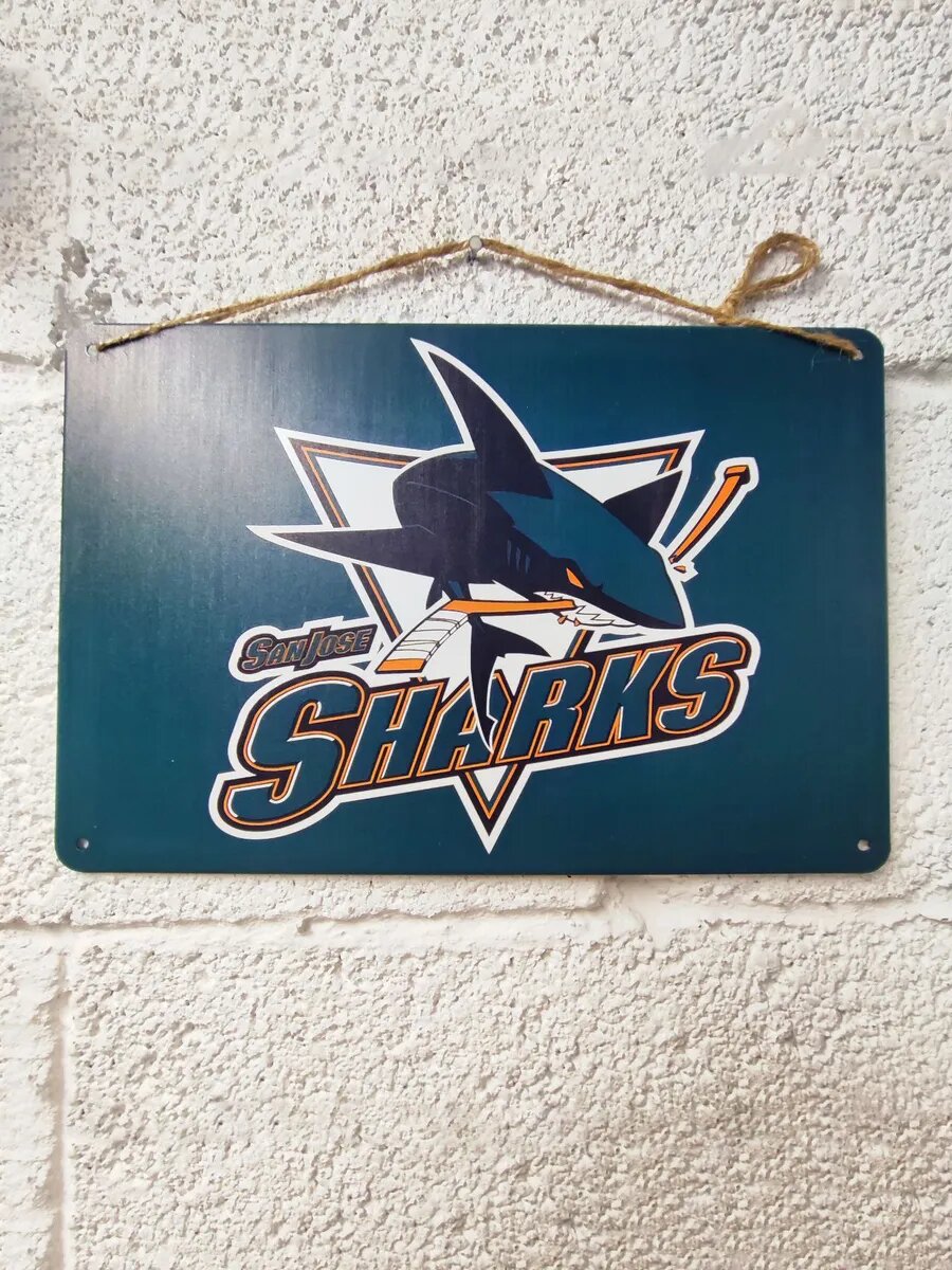 Подарок брату NHL постер